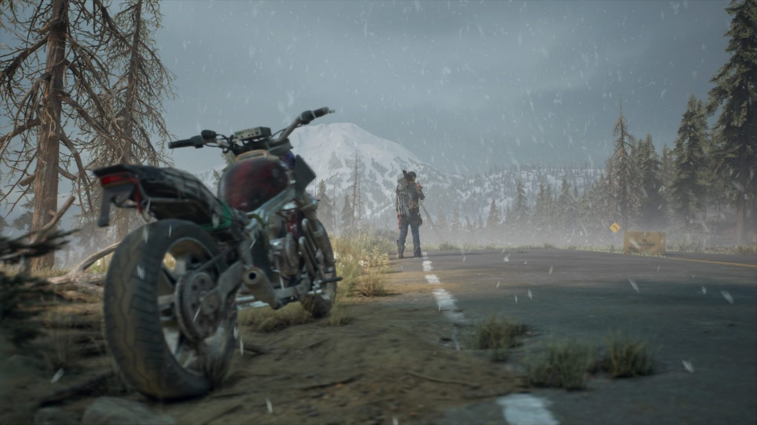 Персонажи (Находки) в Days Gone – Steam Solo