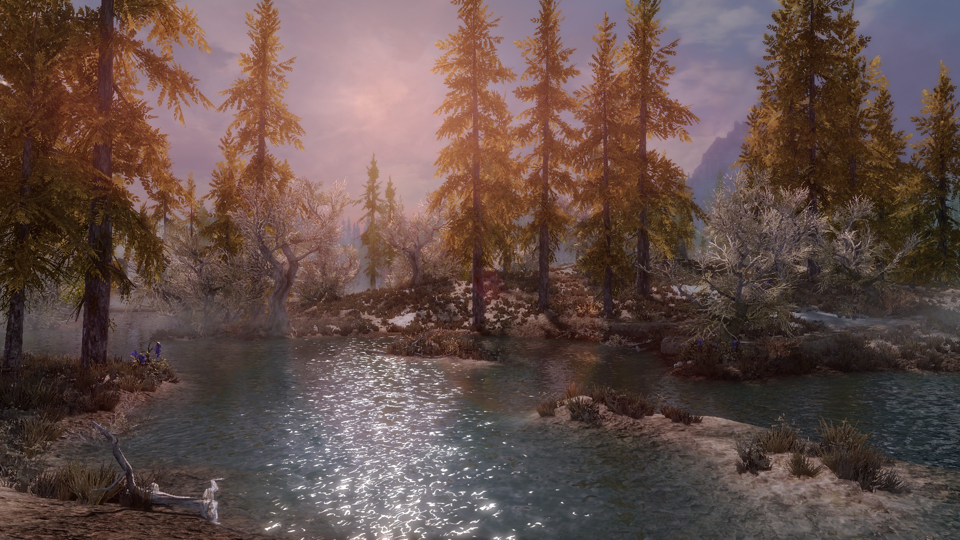 Ini Presets For Skyrim Se Performance And Graphics Boost Steam Solo